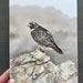 Red-tailed Hawk, Digital Art Print - Etsy