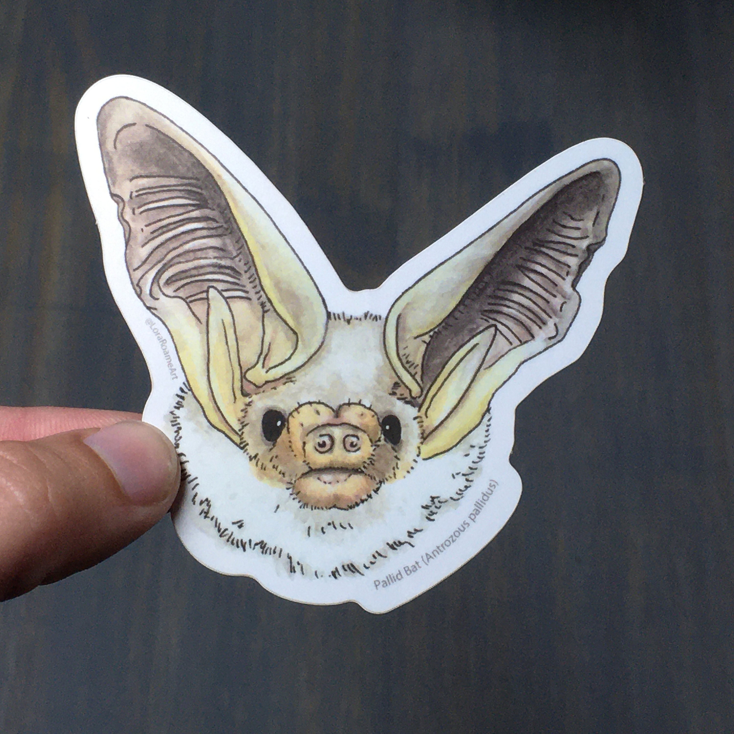 Pallid Bat Sticker - Watercolor Sticker Design- Water Bottle Sticker ...