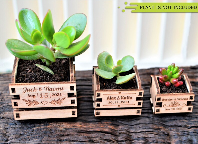 Personalized Mini Pot for Succulent Wedding Favors Wedding - Etsy