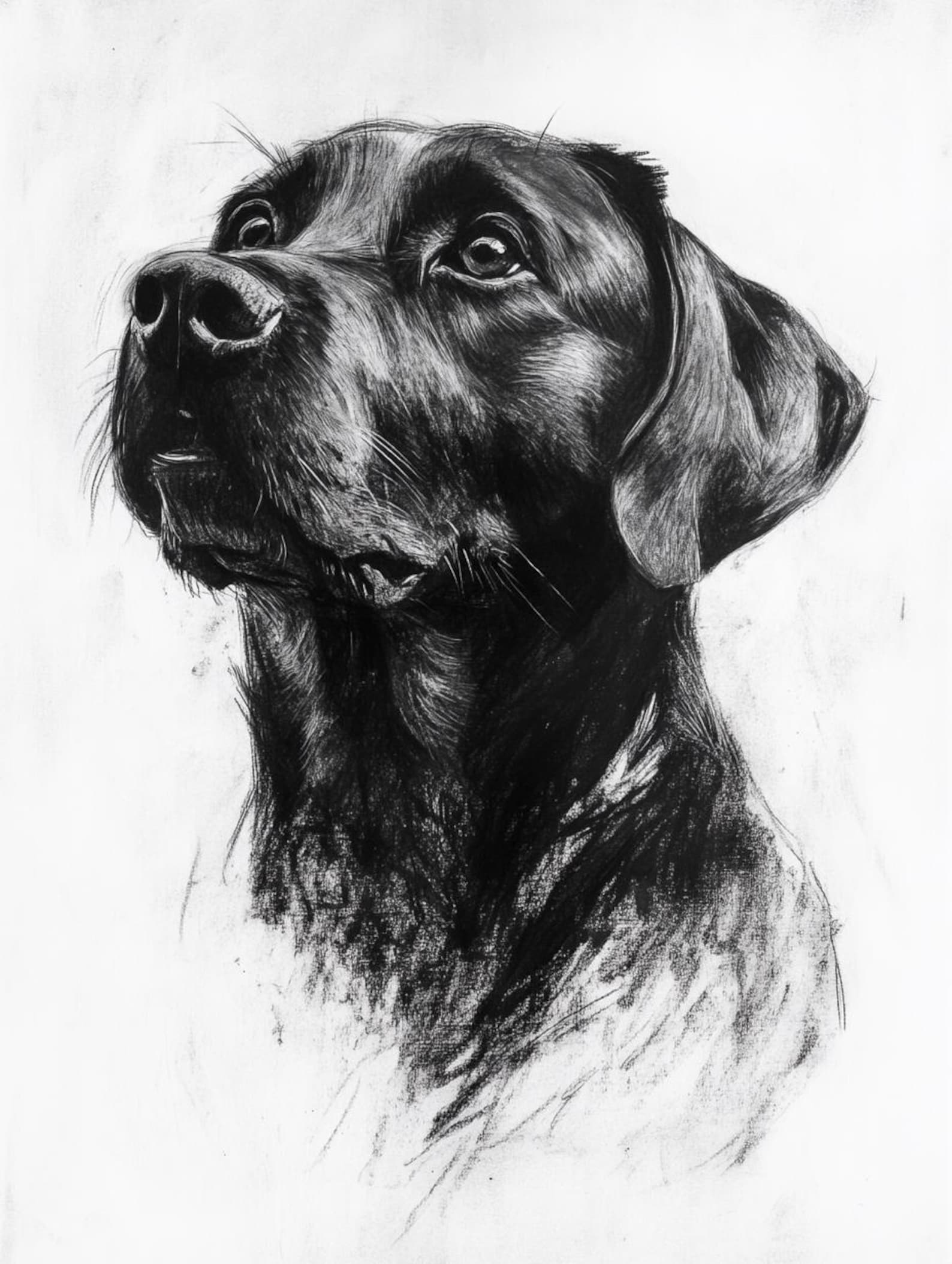Charcoal Dog Portrait, Custom Portrait of Dog, Custom Charcoal Pet ...