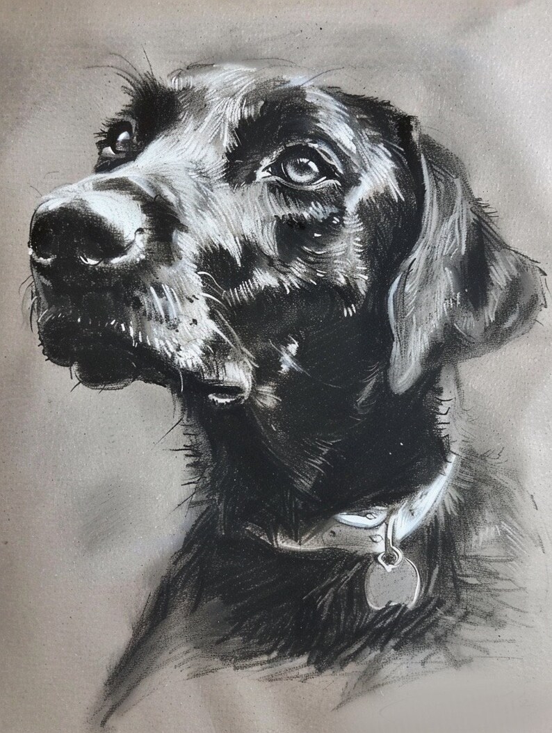 Custom Dog Portrait on Toned Paper, Charcoal Dog Portrait, Charcoal Dog ...