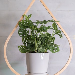 Large Wooden Plant Hanger, Tear Drop Planter, Planter With Saucer, Air ...