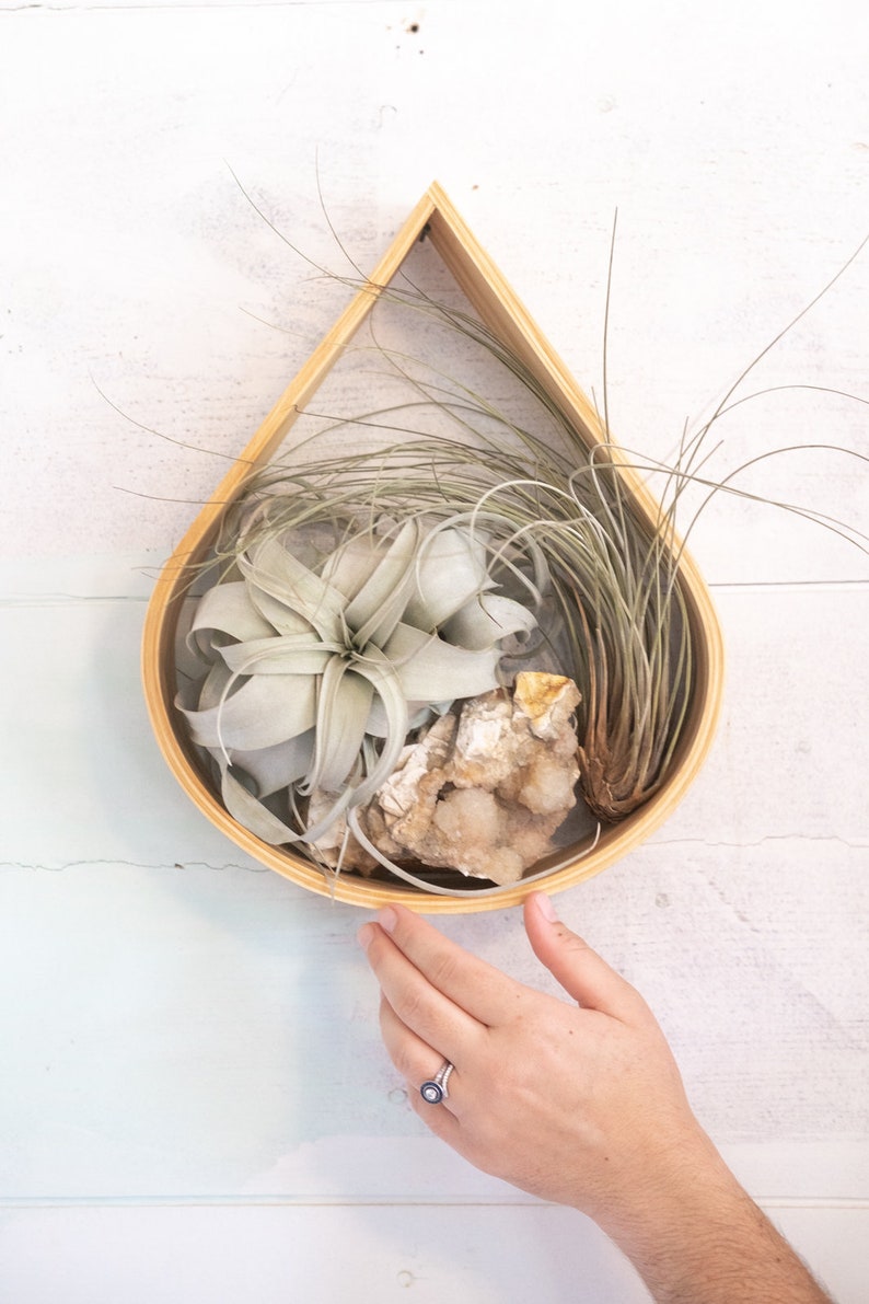 Small Teardrop Cubby | Plant Shelf | Wooden Wall Shelf | Wall Hanging ...