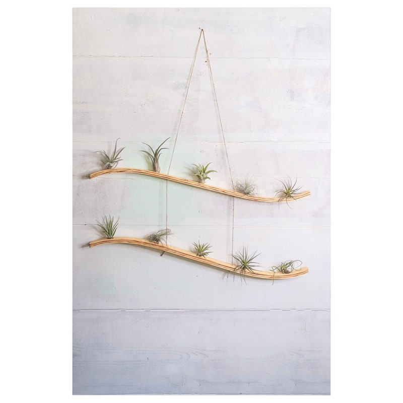 Large Horizontal Planters - Etsy
