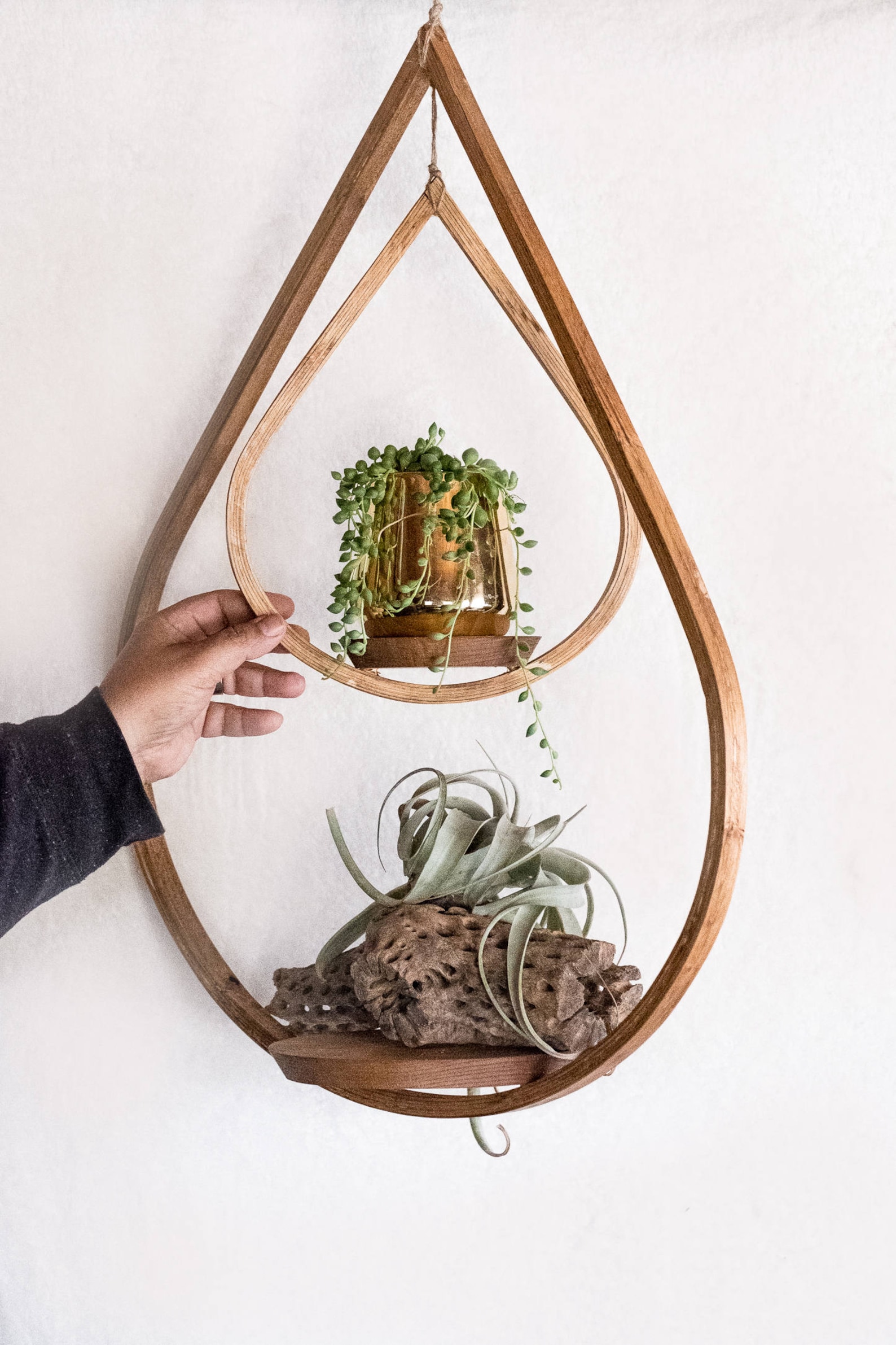 Large Indoor Wooden Tear Drop Hanger Air Plant Holder Air - Etsy