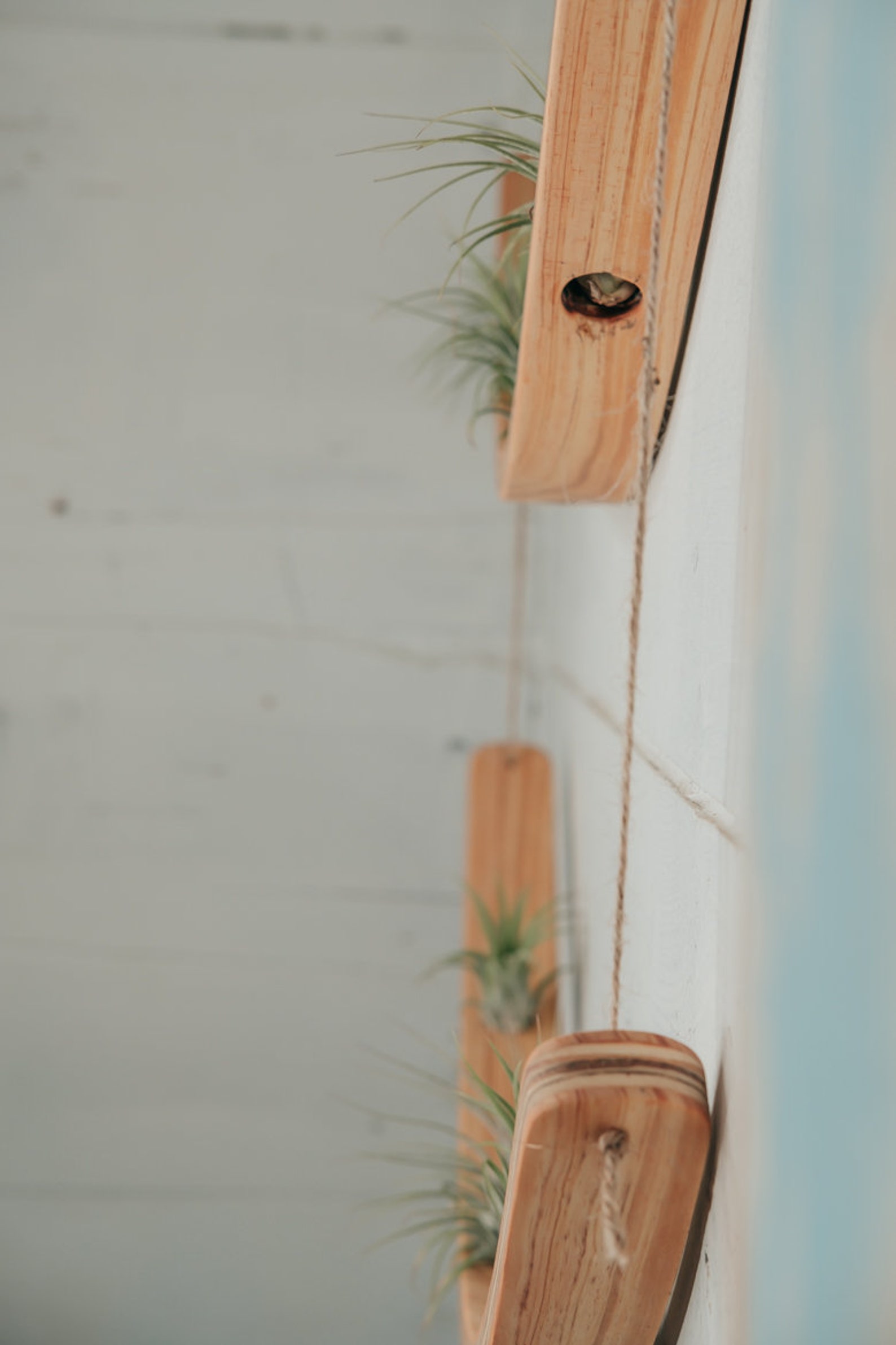 2 Tier Air Plant Hanger Air Plant Display Plant Hanger Air | Etsy