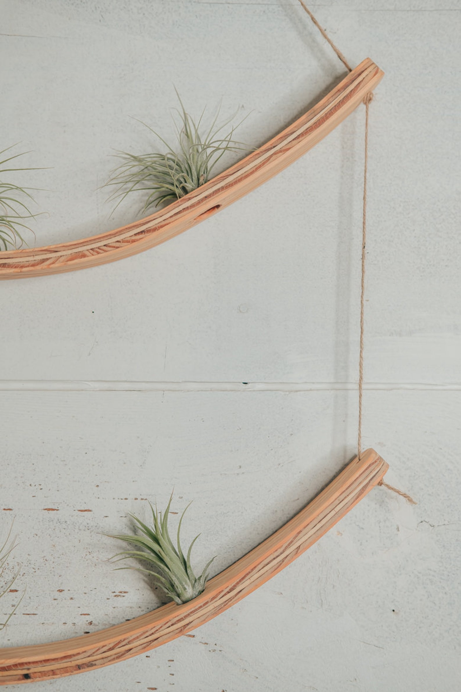 2 Tier Air Plant Hanger Air Plant Display Plant Hanger Air | Etsy