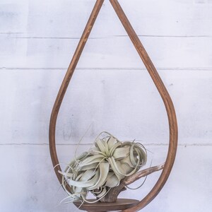 Large Wooden Plant Hanger, Tear Drop Planter, Planter With Saucer, Air ...