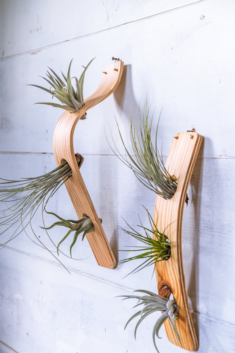 Waterfall Wave Vertical Air Plant Hanger, Air Plant Display, Large Wave ...