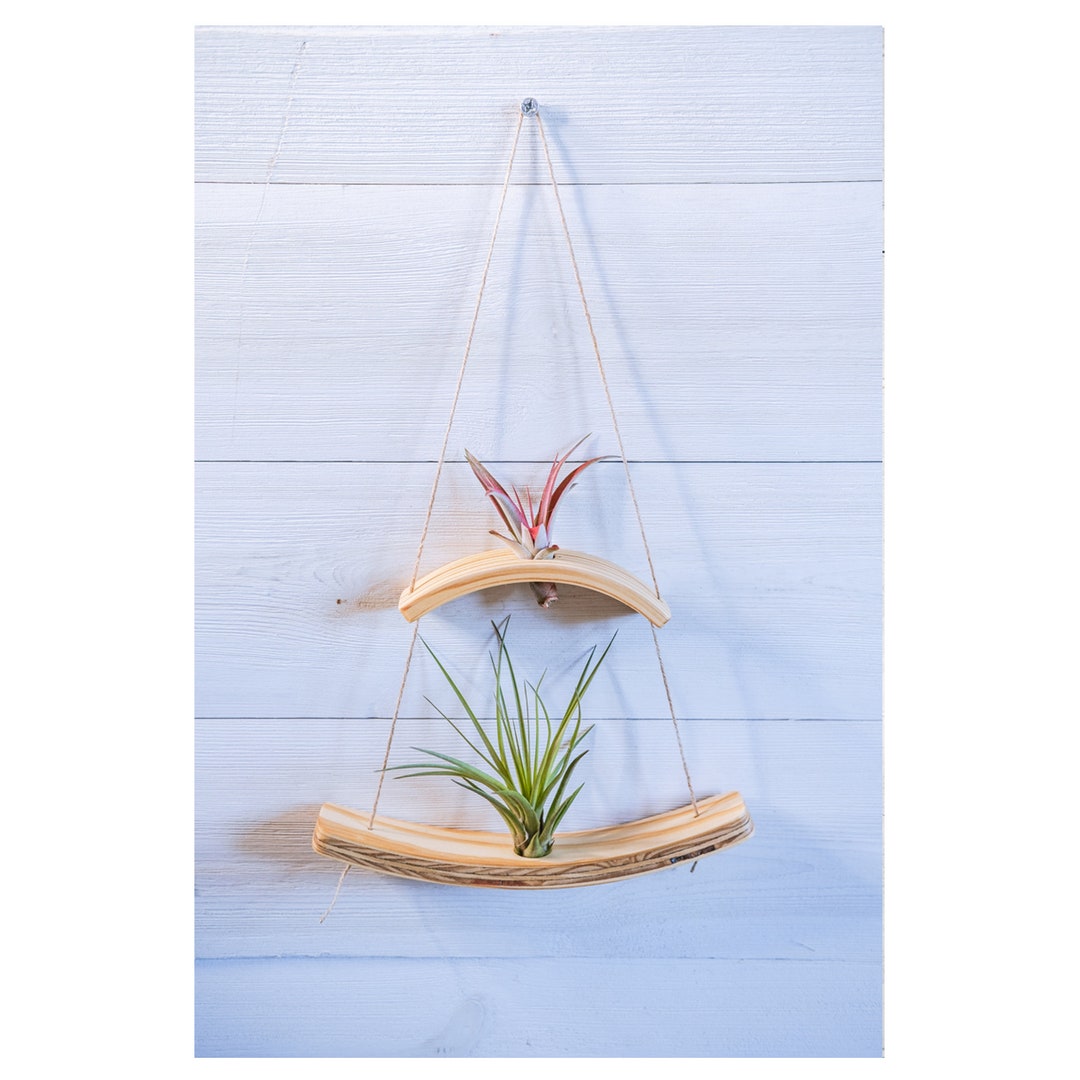Mini Wave Double Air Plant Hanger, Air Plant Wall Display, Indoor Air ...