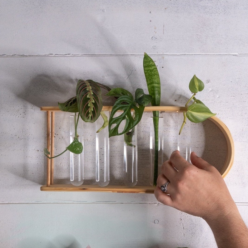 Propagation Station With Tubes, Wall Mounted Propagation, Hanging Test ...