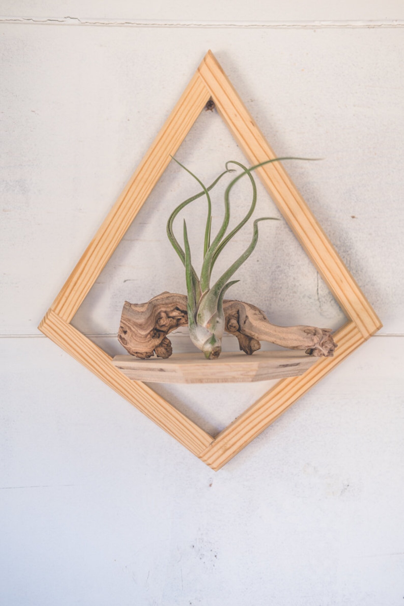 Wall Mount Diamond Planter With Saucer Geometric Wall | Etsy