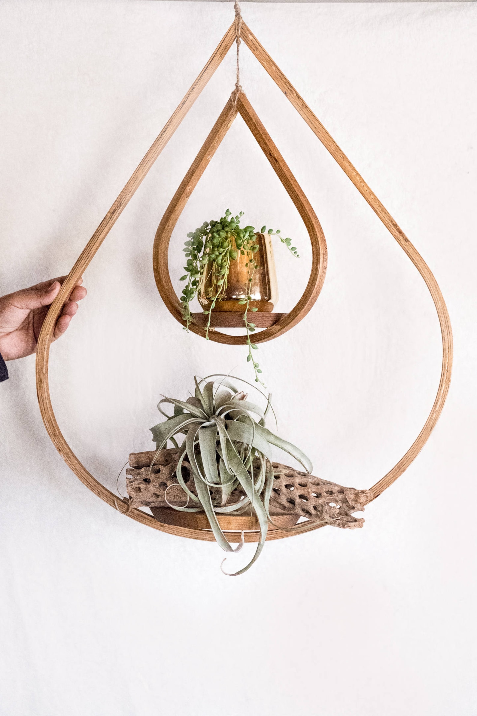 Large Indoor Wooden Tear Drop Hanger Air Plant Holder Air - Etsy