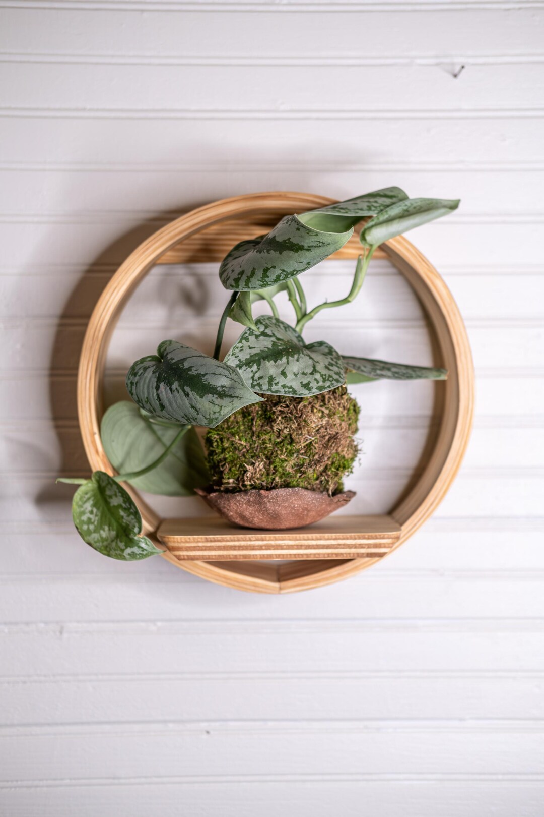 Small Bubble Cubby | Plant Shelf | Wooden Wall Shelf | Wall Hanging ...