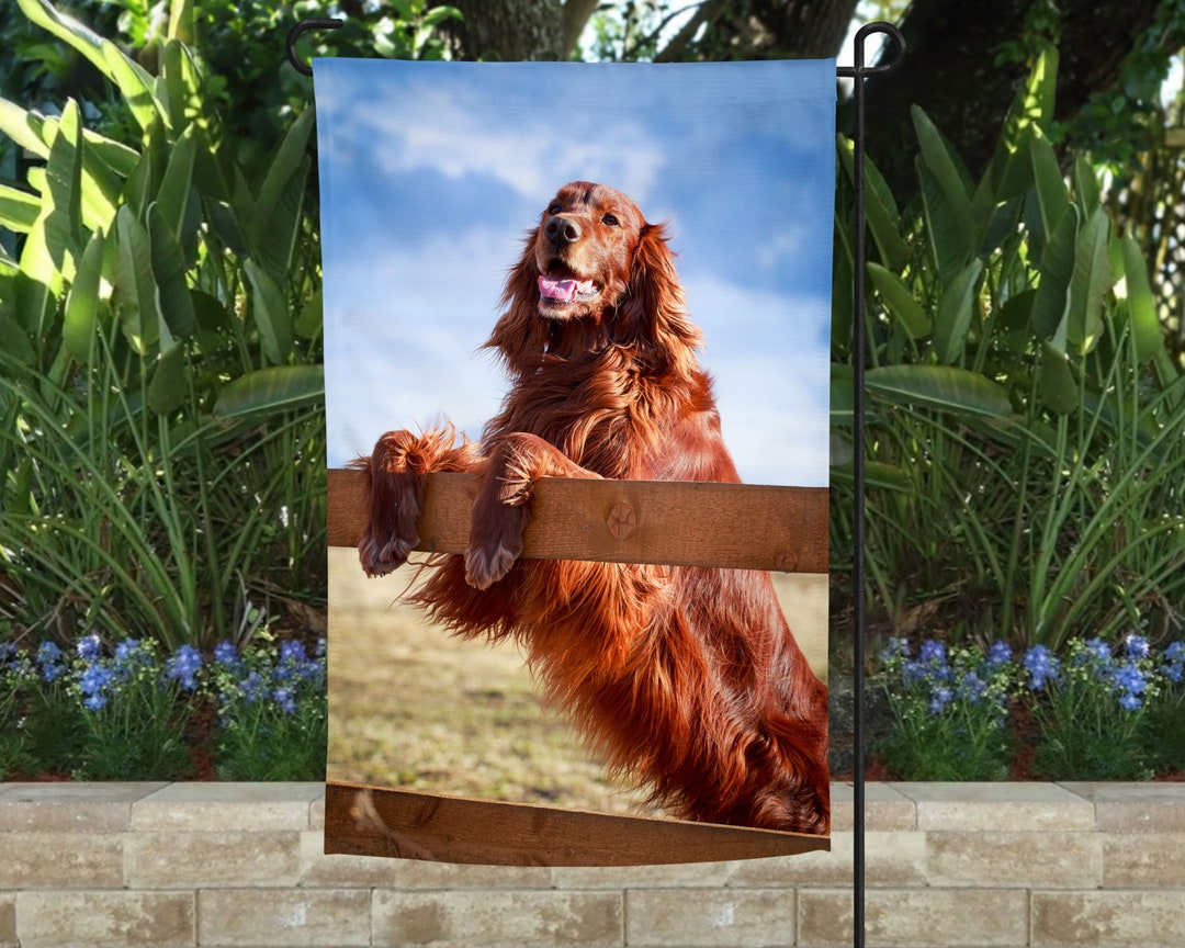 Irish Setter Garden Flag, Garden Flag, Yard Flag, Yard Decor, Irish ...