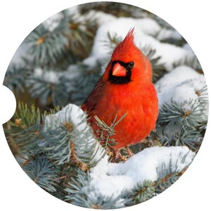 Cardinal Sandstone Car Coasters | Cardinal Coasters | Car Sandstone ...