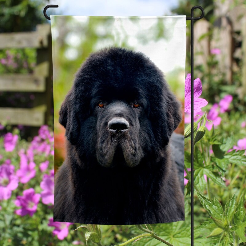 Newfoundland Garden Flag - Etsy