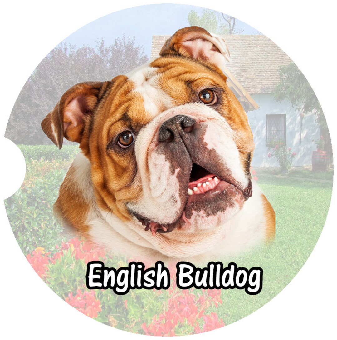 English Bulldog Sandstone Car Coasters | Car Holder Coaster | English ...