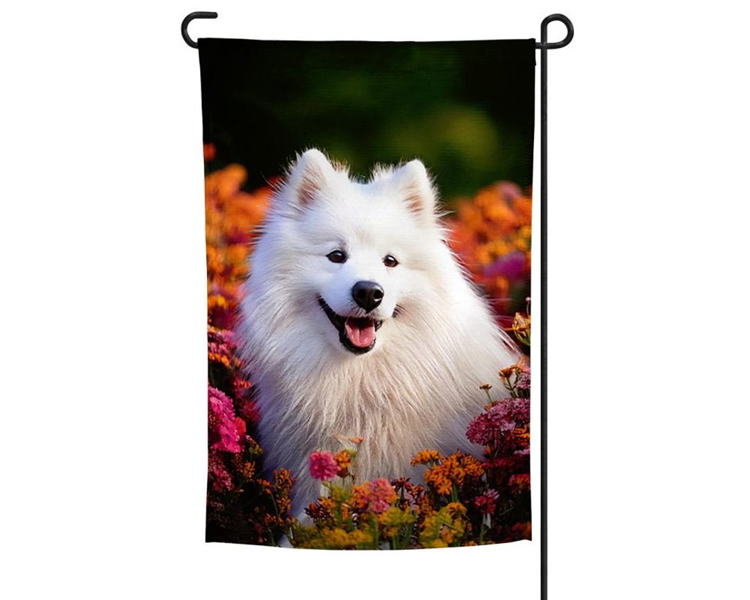 American Eskimo Dog Garden Flag: Seasonal Yard Decor (12x18 Inches) - Etsy