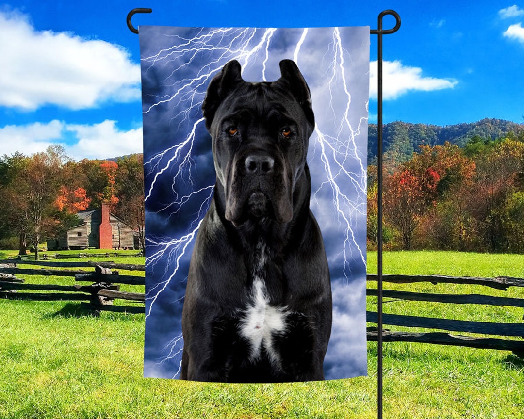 Cane Corso Garden Flag, Garden Flag, Yard Flag, Yard Decor, Cane Corso ...
