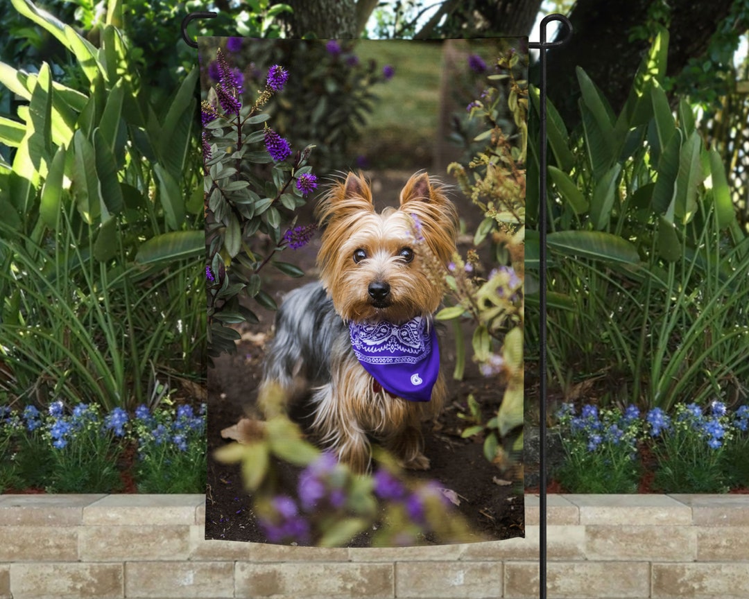 Yorkie Garden Flag, Garden Flag, Yard Flag, Yard Decor, Yorkie Gifts - Etsy