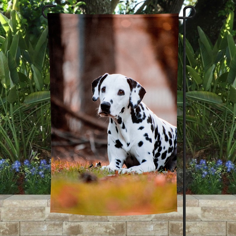 Dalmatian Garden Flag - Etsy