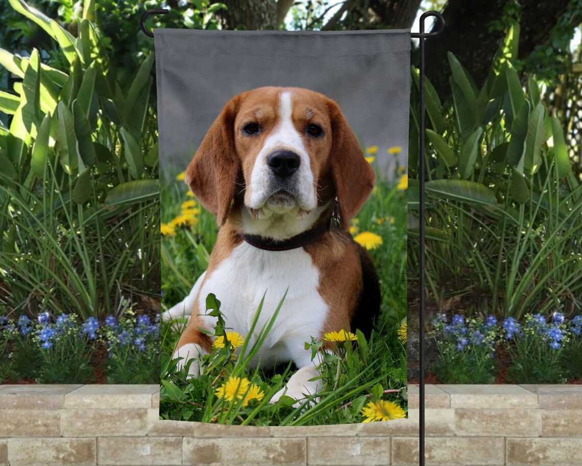 Beagle Garden Flag Garden Flag Yard Flag Yard Decor - Etsy