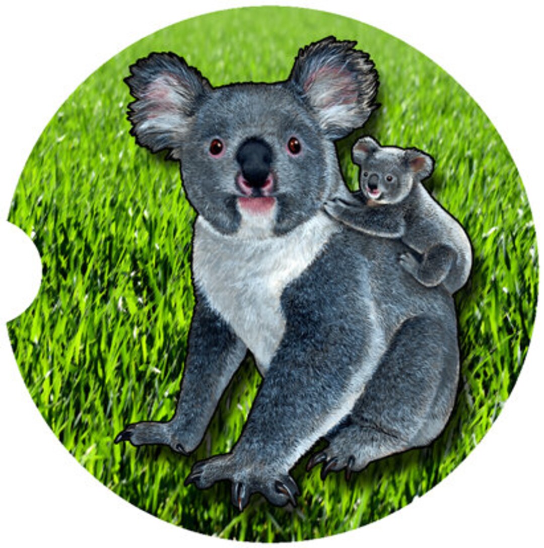Koala Car Coaster Car Coasters Koala Coaster Wildlife Car - Etsy