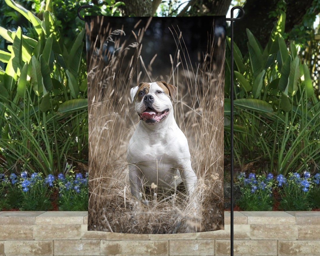 American Bulldog Garden Flag: Double-sided Yard Decor (12x18 Inch) - Etsy