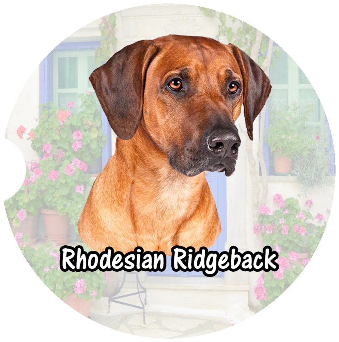Rhodesian Ridgeback Car Coasters: Sandstone Dog Lover Gift - Etsy