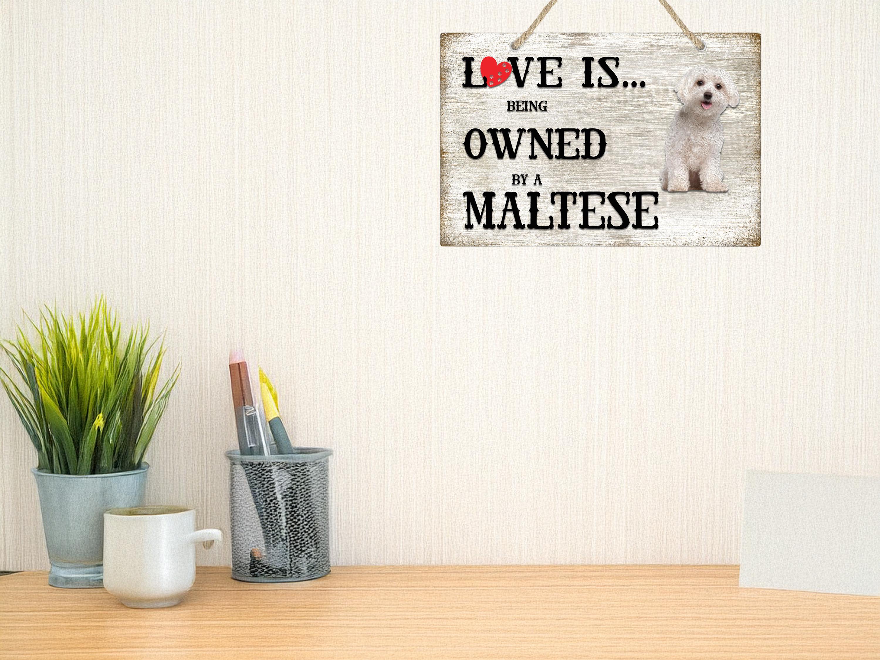 Maltese Dog Breed Themed Sign: Pet Lover Gift - Etsy