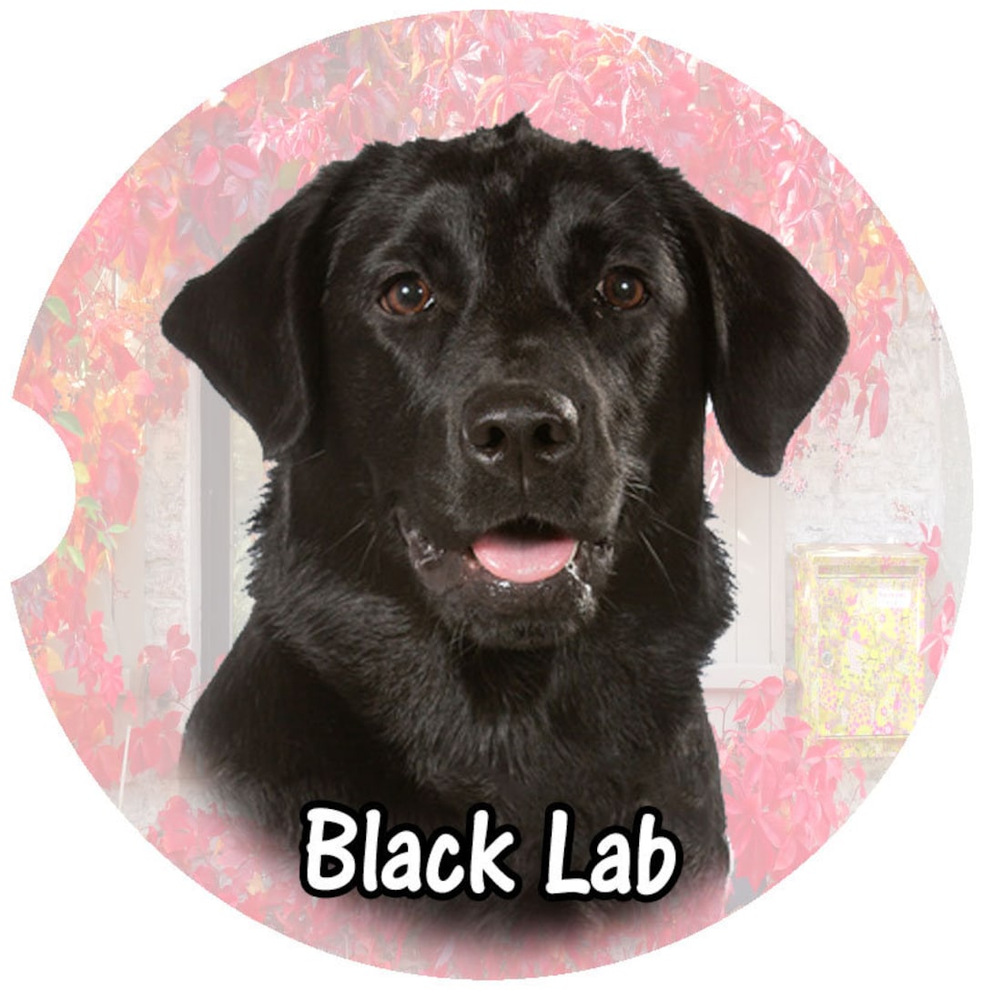 Black Lab Car Coasters: Sandstone Cup Holder Coaster Set - Etsy