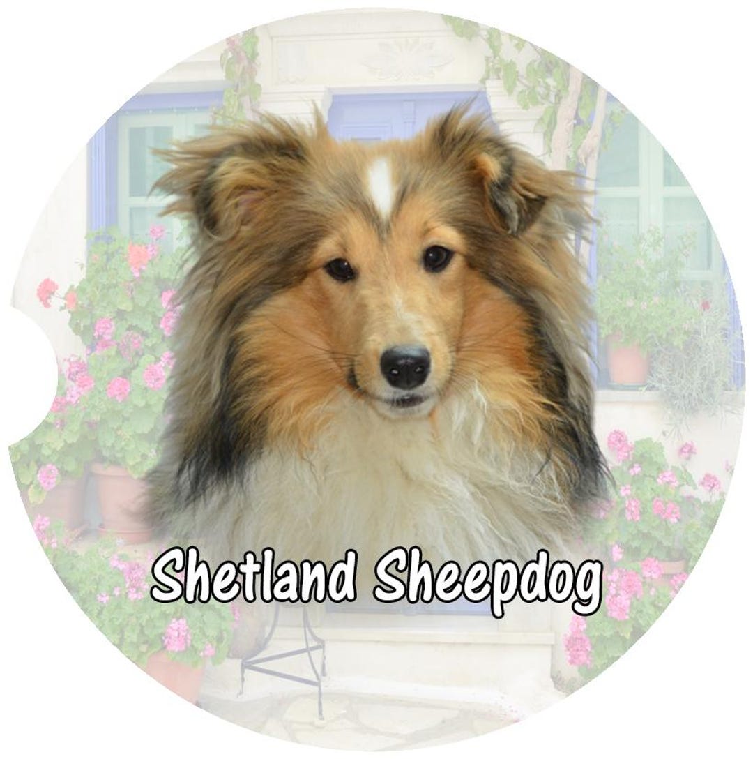 Shetland Sheepdog Sandstone Car Coasters | Shetland Sheepdog Coasters ...