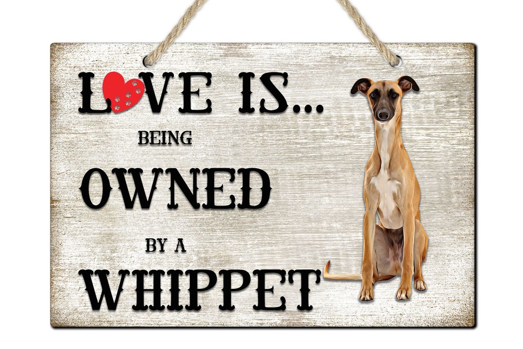 Whippet Dog Breed Sign: "love is Being Owned" Pet Decor - Etsy