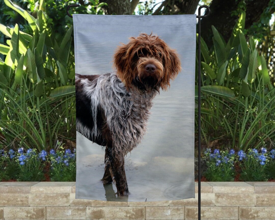 Wirehaired Pointing Griffon Garden Flag: Double-sided Yard Decor - Etsy
