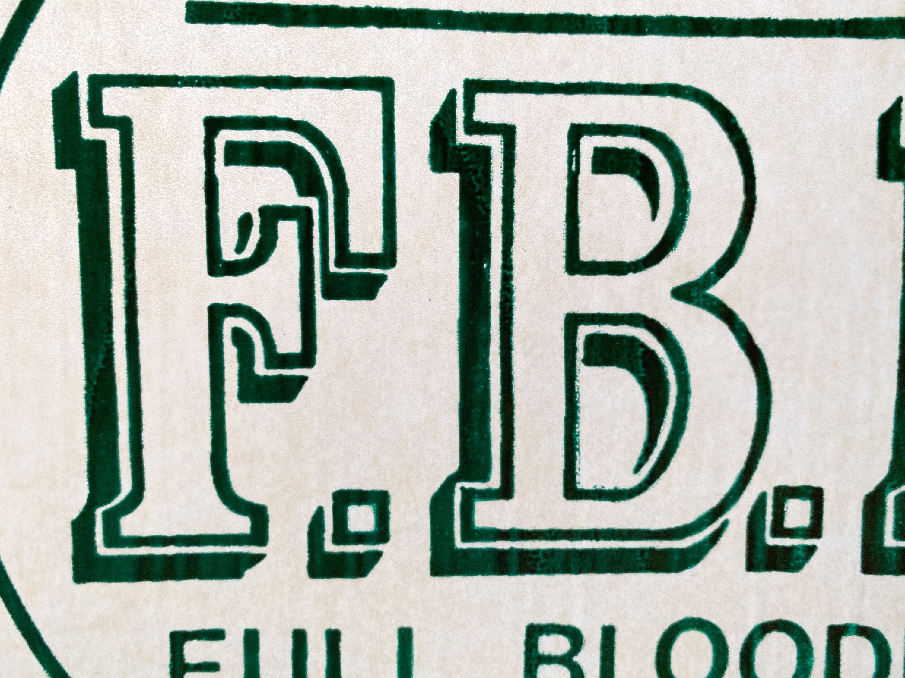 Full Blooded Italian Vintage Iron on Heat Transfer - Etsy