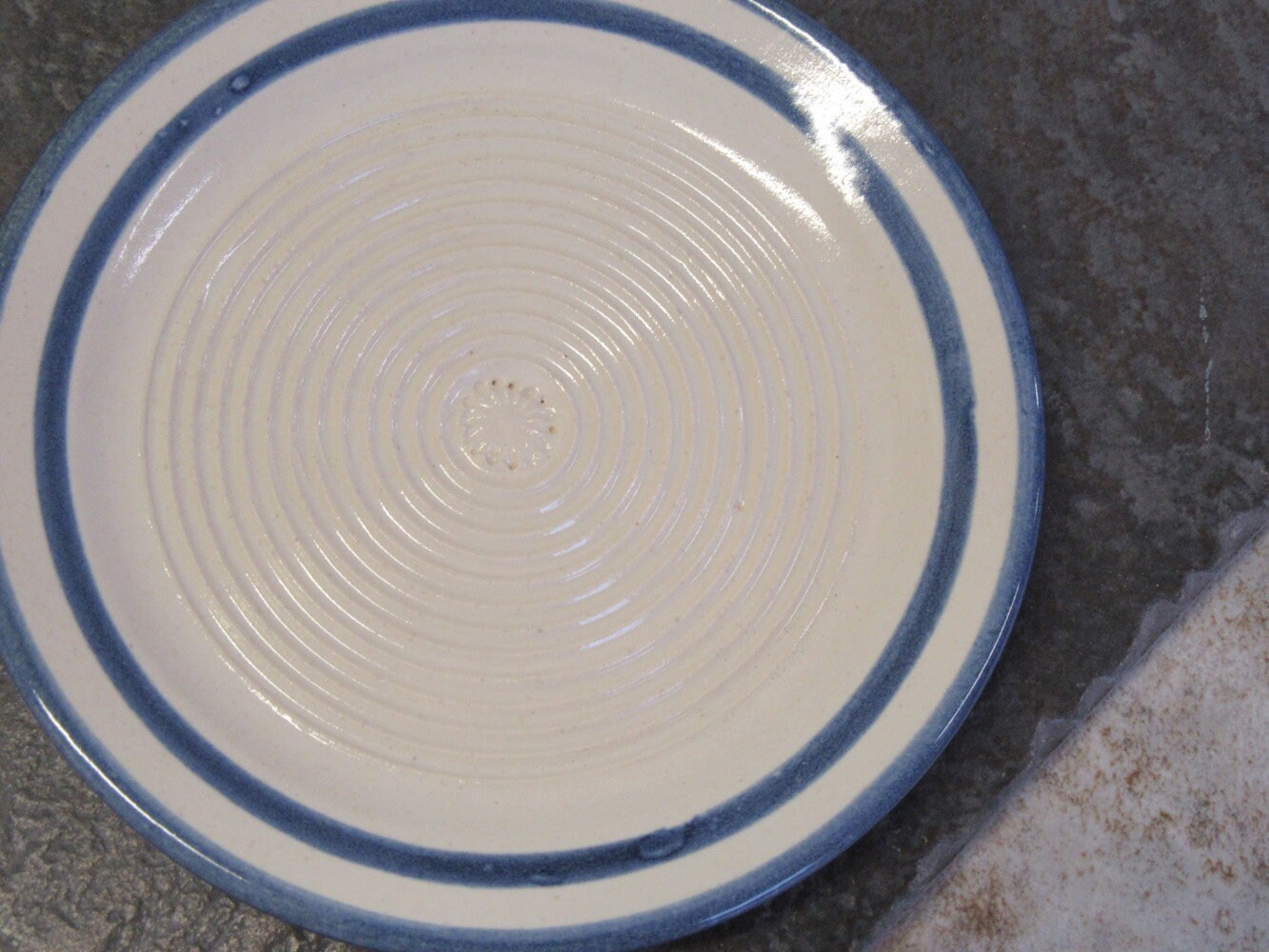 Grater Plate Garlic Plate White & Blue Plate Made in - Etsy