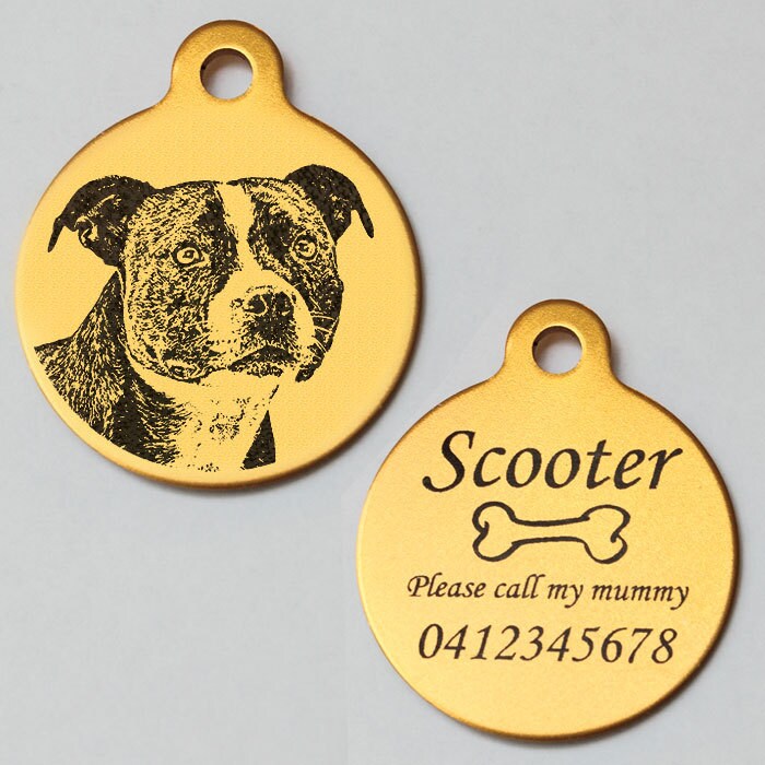 Classic Staffy Staffordshire Terrier Personalised Engraved - Etsy