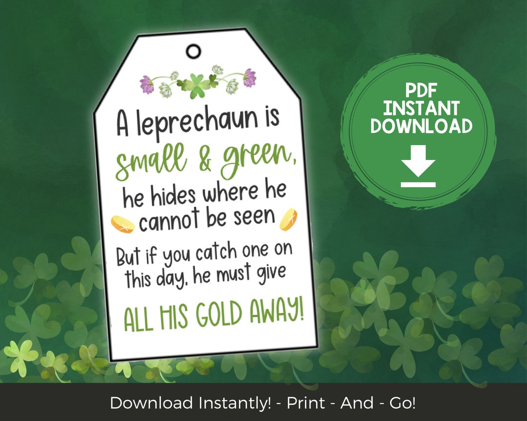 Leprechaun St Patricks Day Printable Gift Tags, St Patricks Day Tags ...