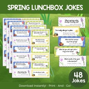 Spring Printable Lunch Box Jokes for Kids, Lunch Box Notes, Back to ...