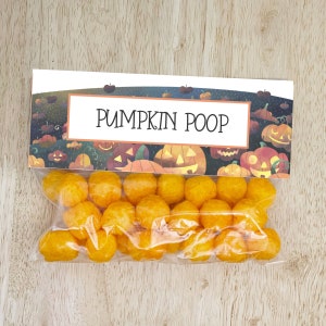 Trick or Treat Pumpkin Poop Goodie Bag, Kids or Teacher Halloween Gift ...