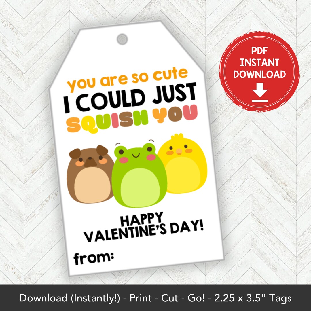 Printable Mochi Squishy Valentines Card, Squishies Valentine Gift Tag ...