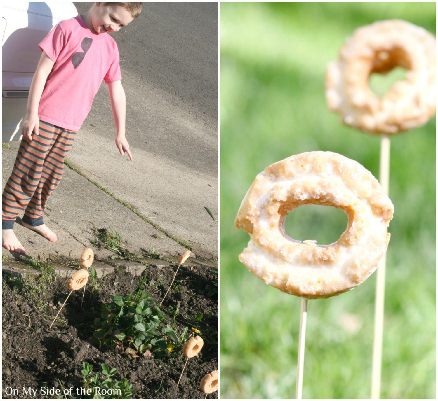 April Fools - Prank - Kids Activity - Doughnut Seeds - Joke Gift Idea ...