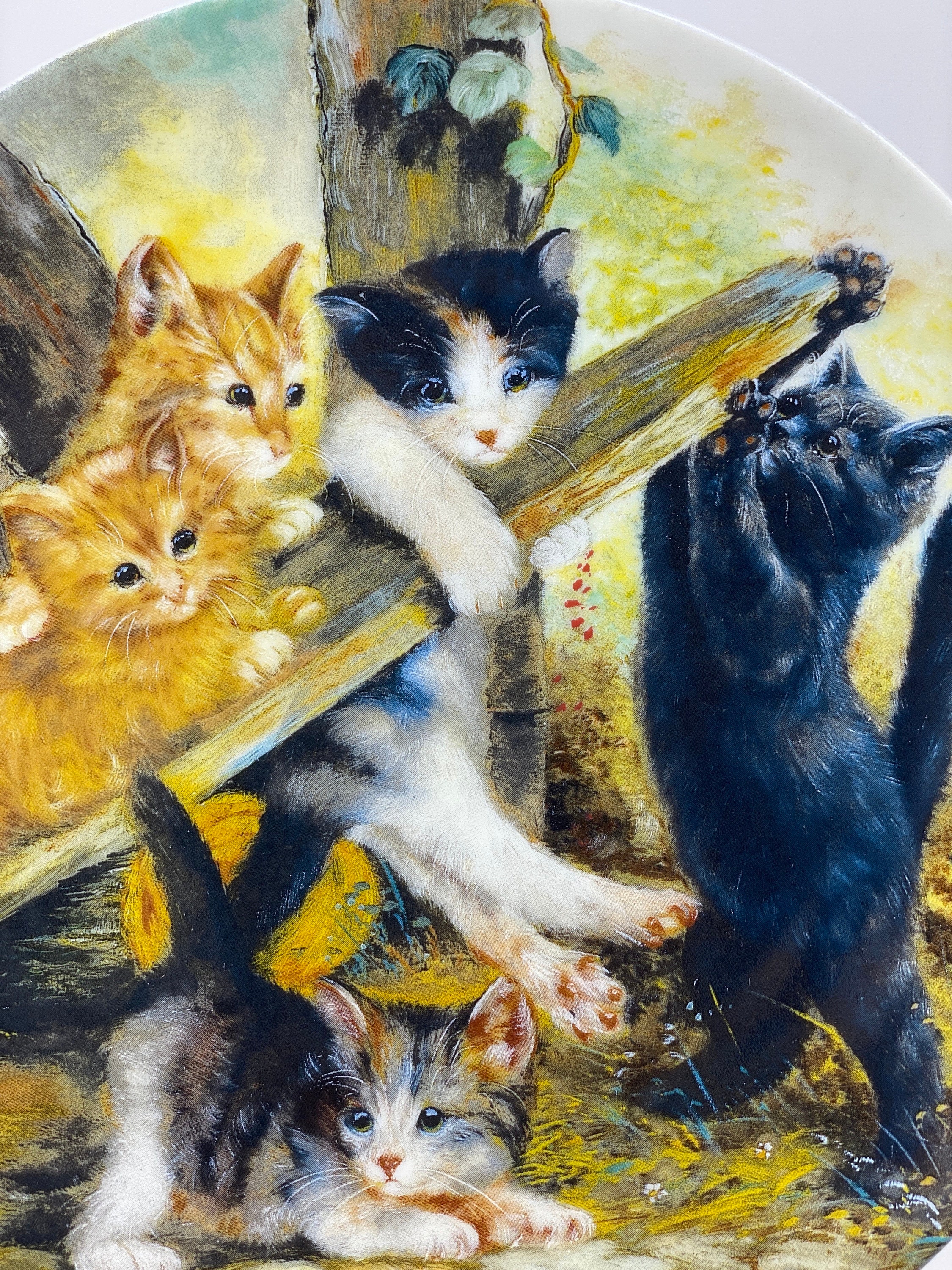 Exclusive Cats Series by Wolfgang Kaiser Christian Seltmann | Etsy