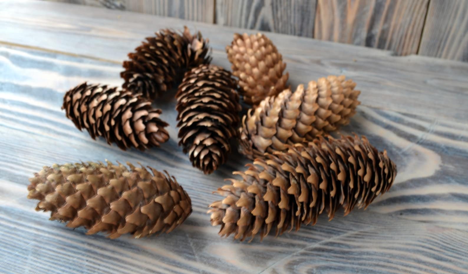 Fir Cones, Large Pine Cones, Natural Spruce Cone, Natural Big Cones ...