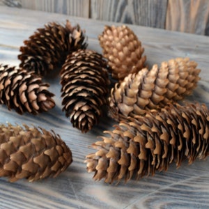 Fir Cones, Large Pine Cones, Natural Spruce Cone, Natural Big Cones ...