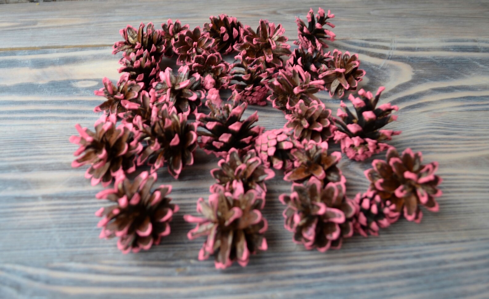 Natural Colored Pine Cones Painted Pinecone Color Tipped - Etsy
