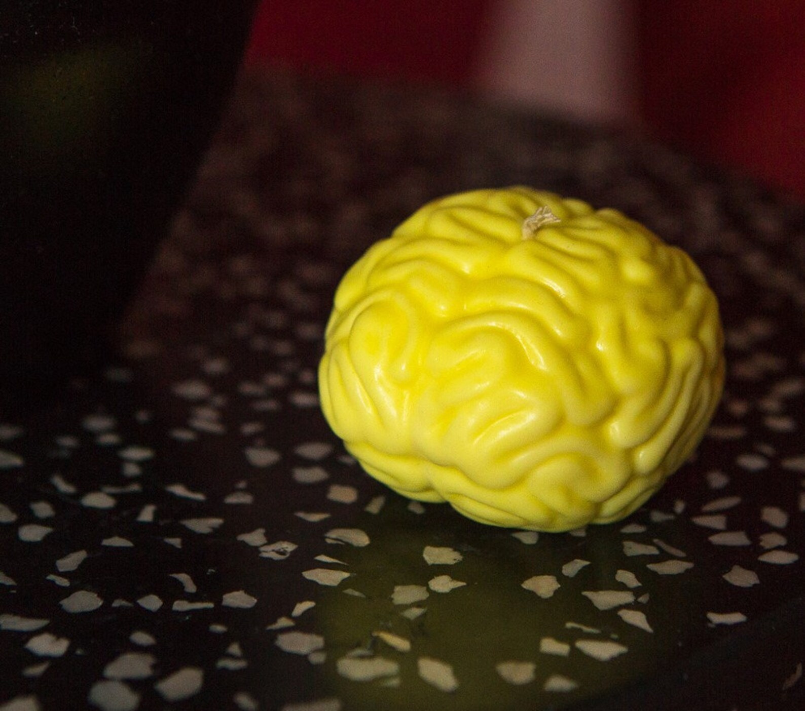 Human Brain 3D Silicone Mold Brain Mold for Creating Candles - Etsy
