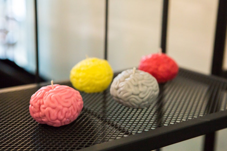 Human Brain 3D Silicone Mold Brain Mold for Creating Candles - Etsy