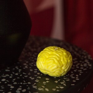 Human Brain Candle, Halloween Wedding Favors Unique Candles, Perfect ...